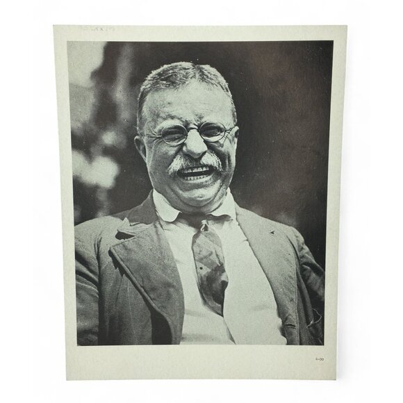Unbranded | Wall Decor | Theodore Roosevelt Smiling Print On Cardstock ...